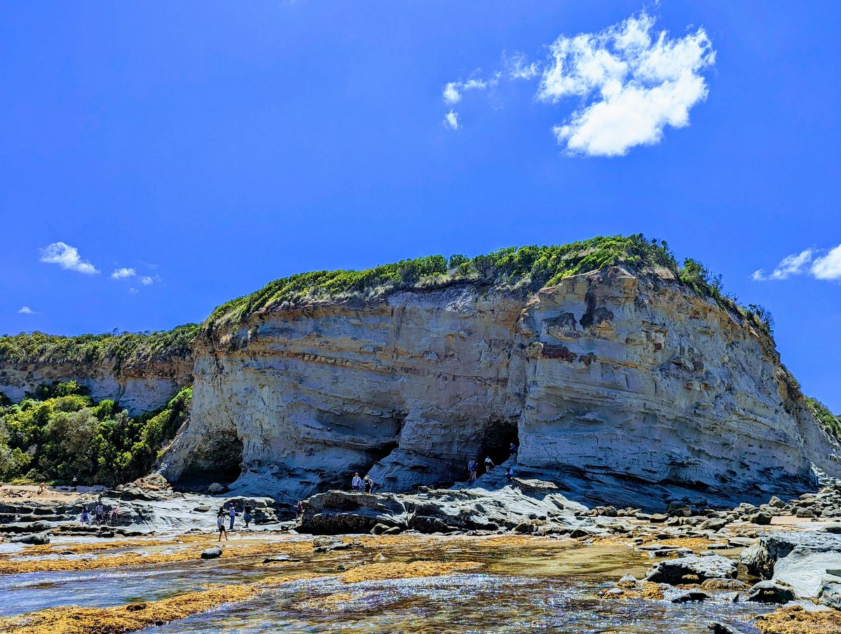 Unleash the Explorer Within: Discover Rock Pools, Dinosaur Fossils and ...